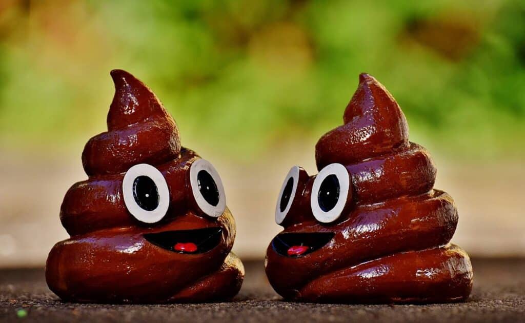 16 curiosidades surpreendentes sobre o cocô – Zona Curiosa