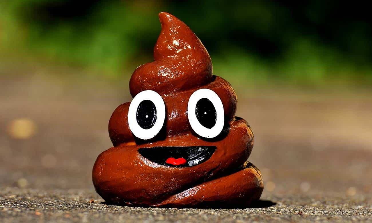 16 curiosidades surpreendentes sobre o cocô – Zona Curiosa