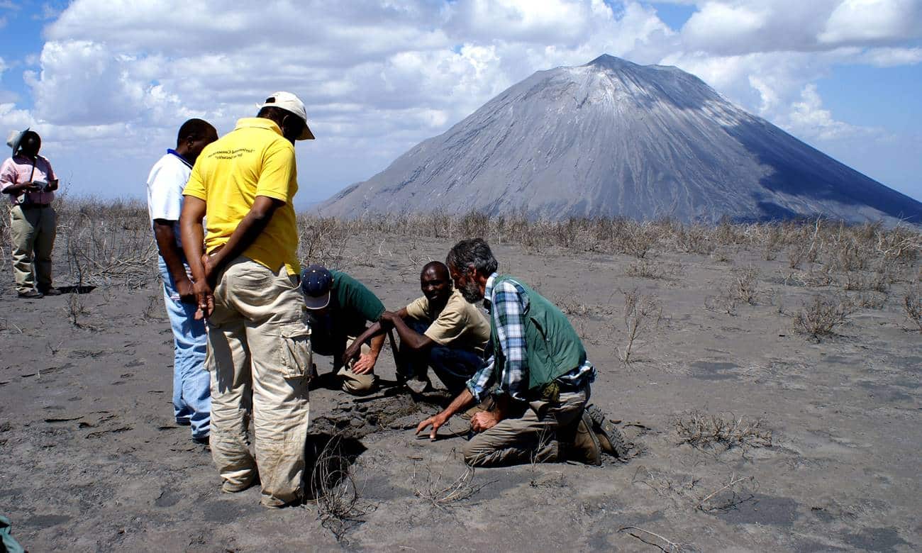 O que faz um sismólogo? – Zona Curiosa