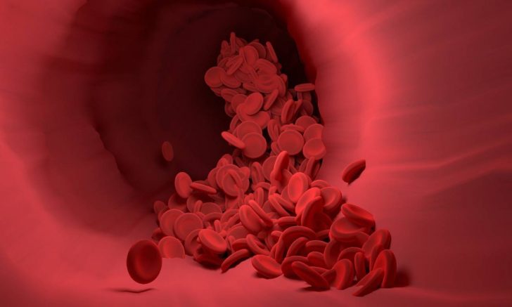 O que é e como se forma um coágulo sanguíneo? – Zona Curiosa