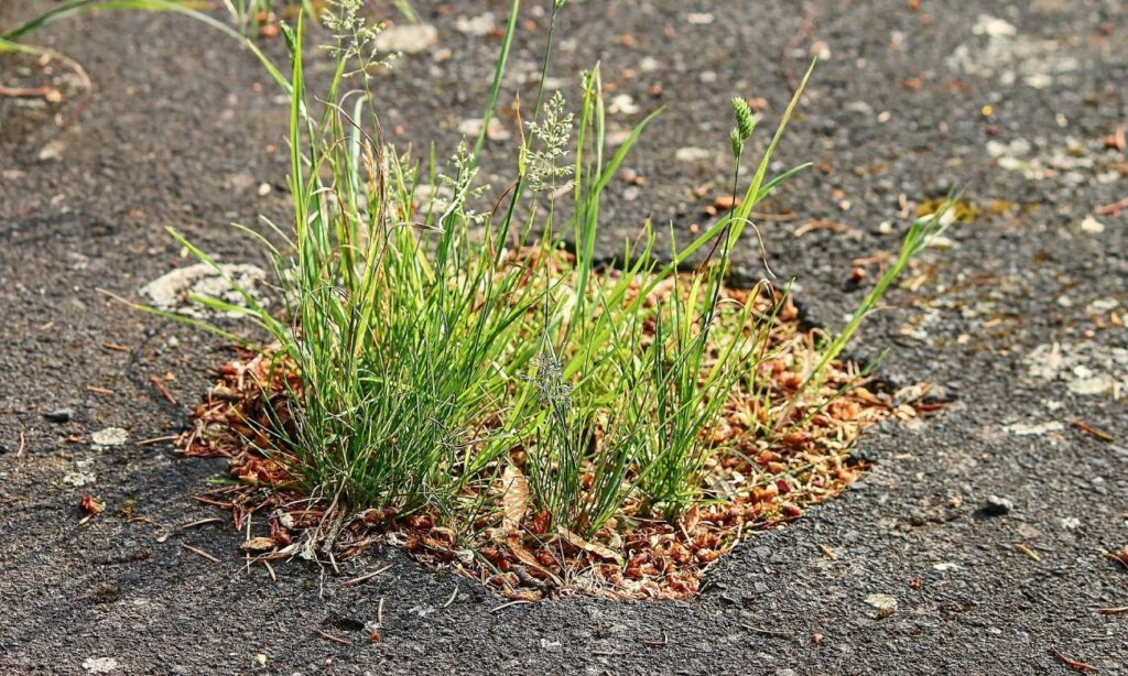 Por que surgem buracos em ruas e estradas? – Zona Curiosa