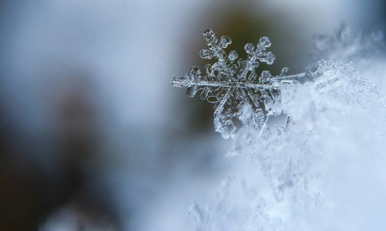 12 curiosidades incríveis sobre a neve – Zona Curiosa