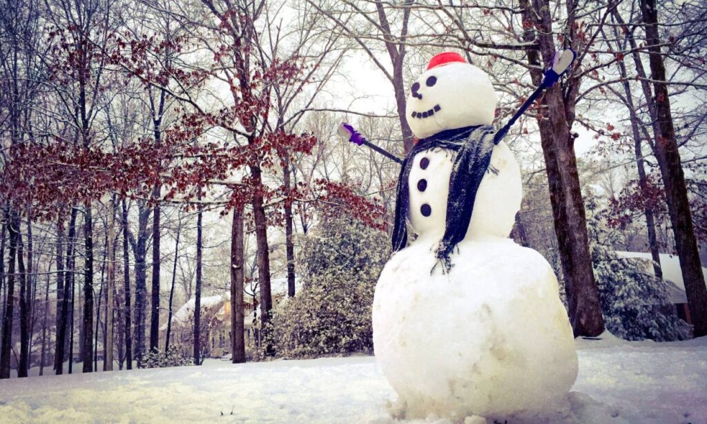 12 curiosidades incríveis sobre a neve – Zona Curiosa