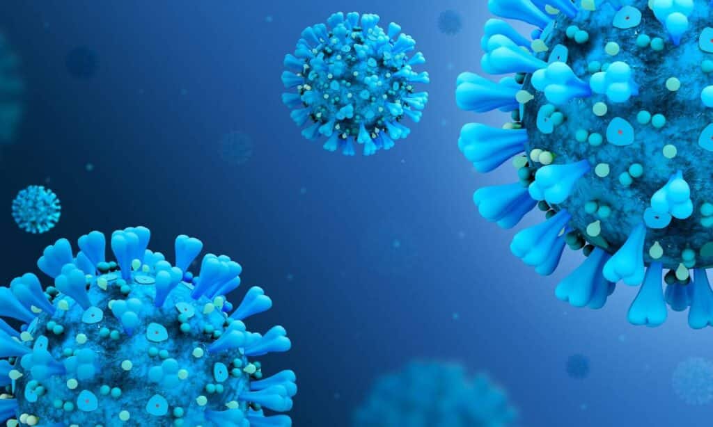 Como surgiram os vírus? – Zona Curiosa