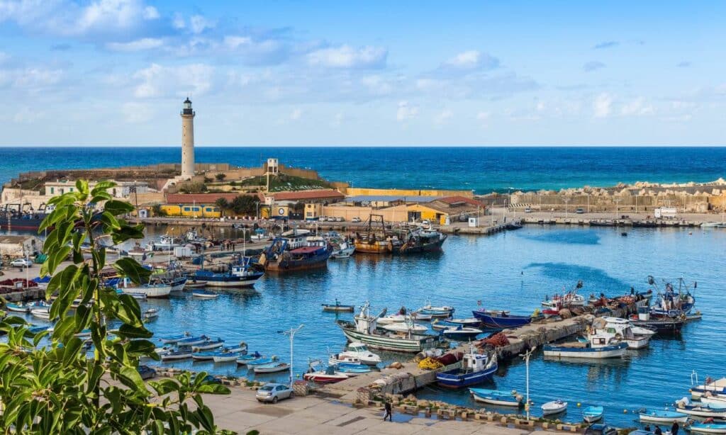 12 curiosidades incríveis sobre a Argélia – Zona Curiosa