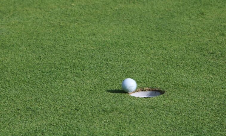 12 curiosidades incríveis sobre o golfe - Zona Curiosa 12 curiosidades incríveis sobre o golfe - Zona Curiosa