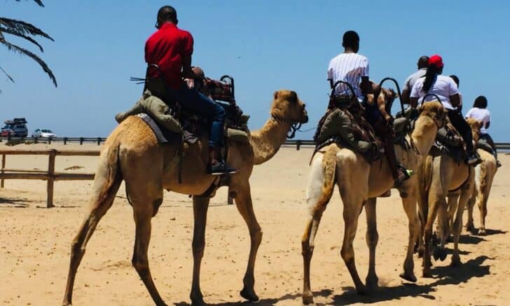 12 curiosidades interessantes sobre o Chade – Zona Curiosa