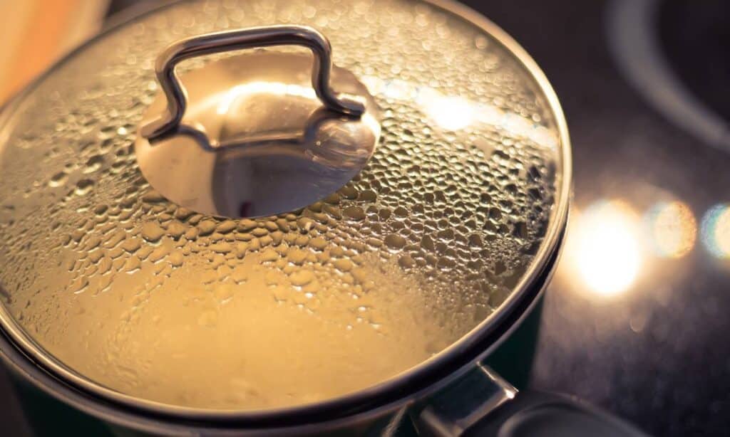 Por que a água borbulha quando ferve? – Zona Curiosa