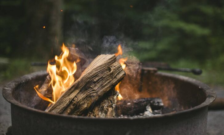 Por que a madeira estala quando queima? – Zona Curiosa