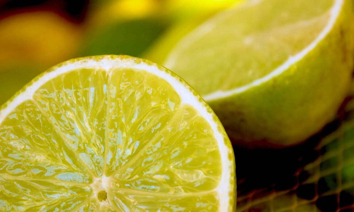 Por que o limão é azedo? – Zona Curiosa