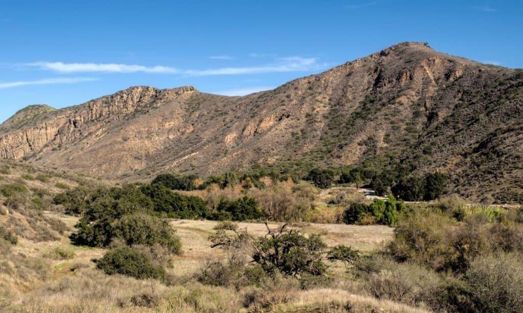 O que é o chaparral? – Zona Curiosa