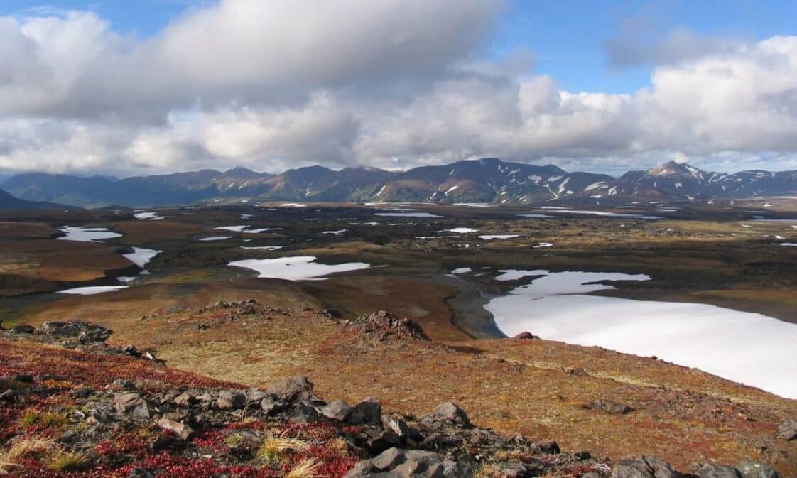 O que é tundra? – Zona Curiosa