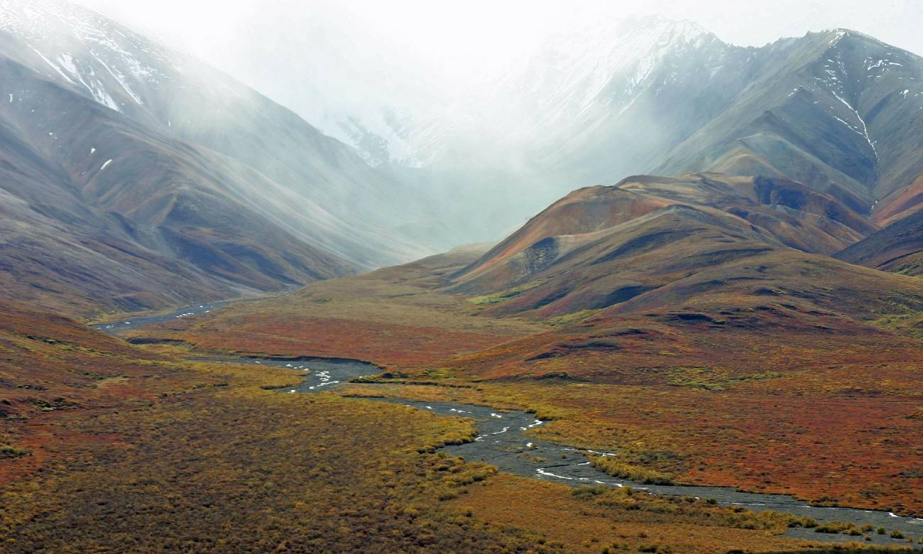 O que é tundra? – Zona Curiosa
