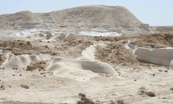 Qual é a importância dos desertos para o planeta? – Zona Curiosa