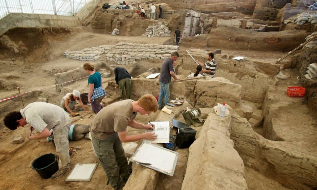 O que faz um arqueólogo? – Zona Curiosa