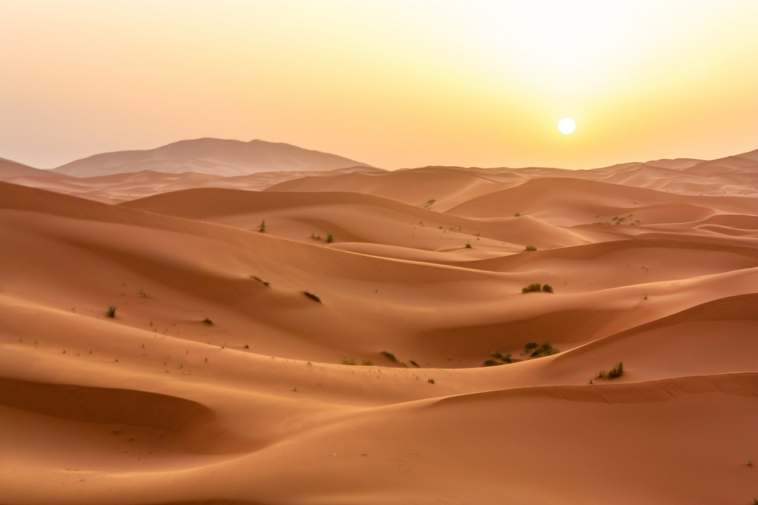 Quais São os 5 Maiores Desertos Do Mundo? – Zona Curiosa