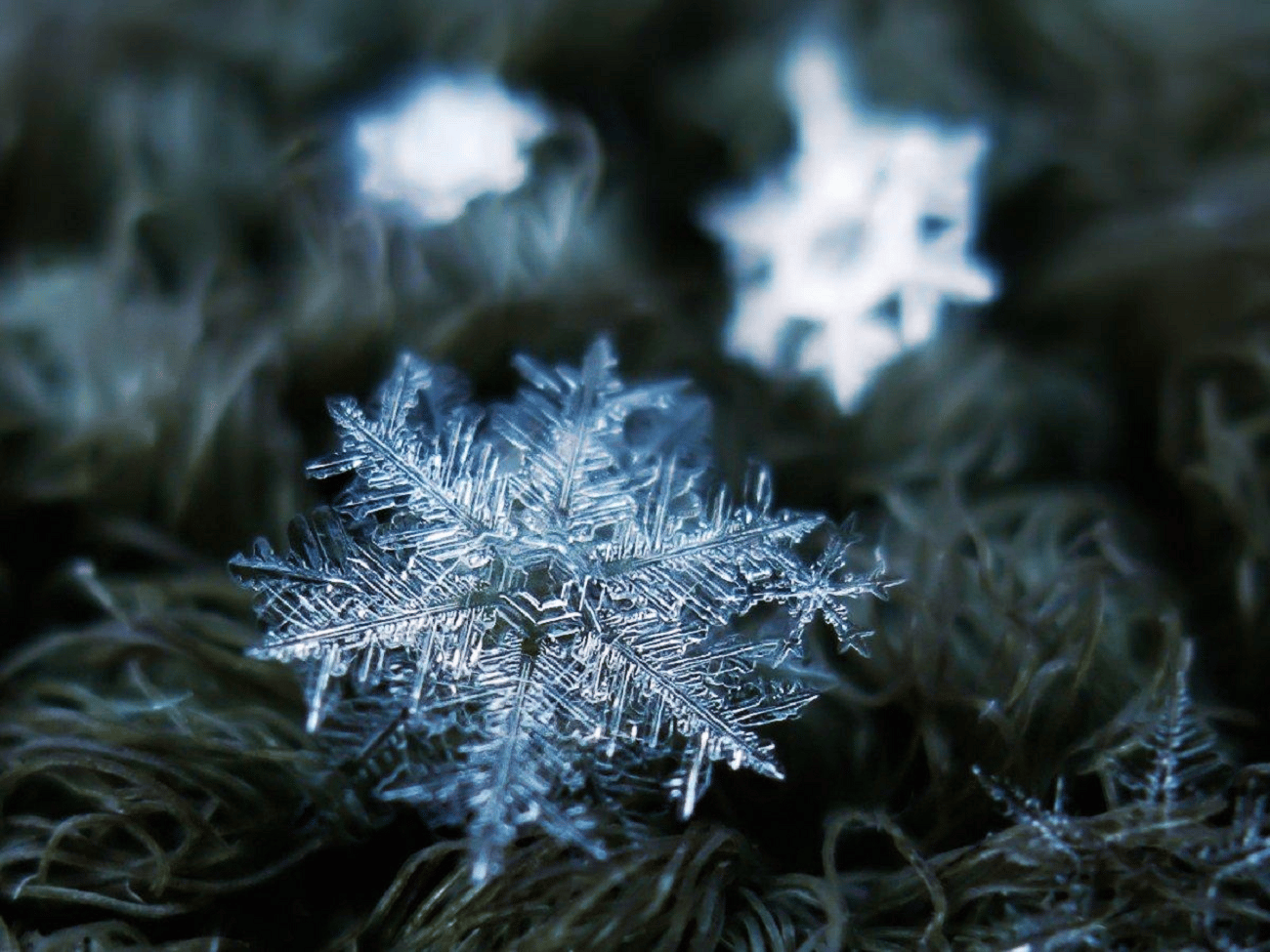 Flocos de Neve: O Que São e Como se Formam? – Zona Curiosa