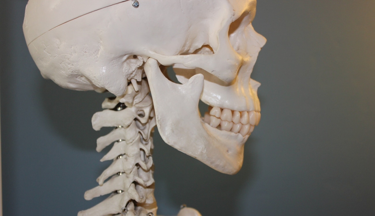 As 5 melhores curiosidades sobre o corpo humano – Zona Curiosa