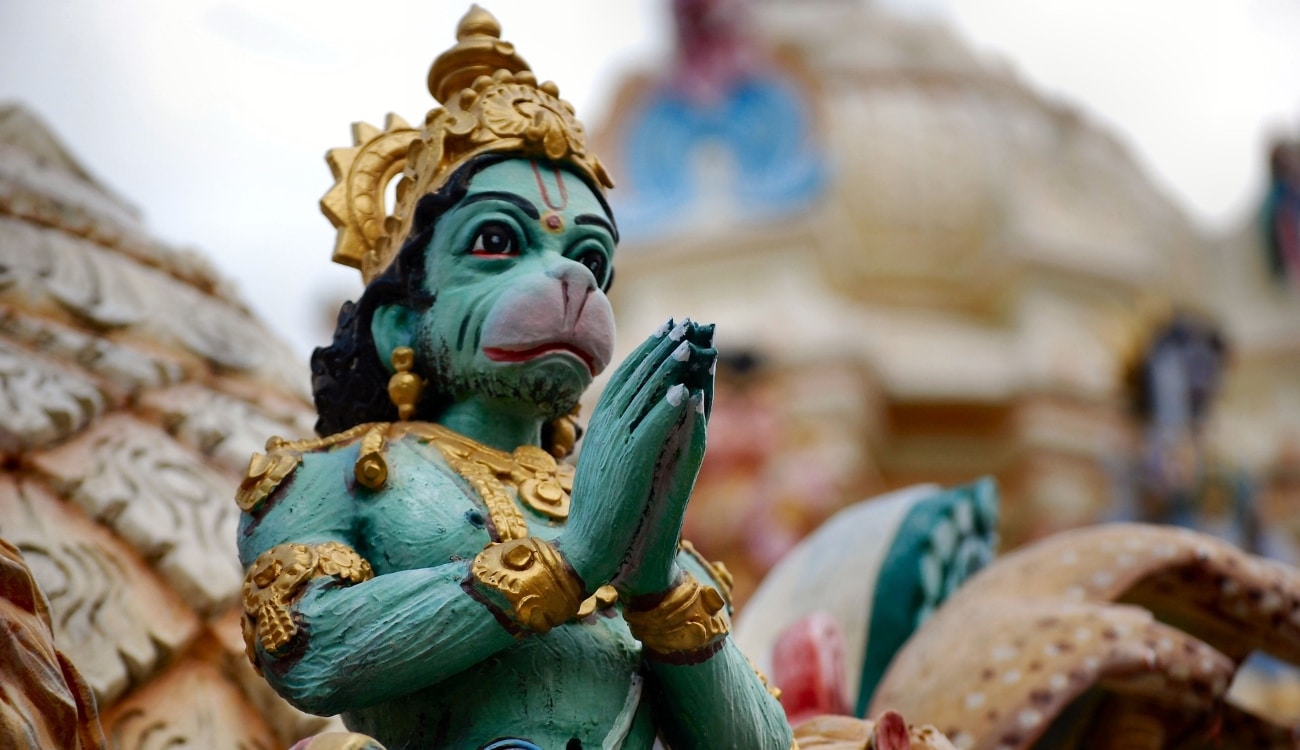 Macacos: As 5 melhores curiosidades sobre esses mamíferos – Zona Curiosa