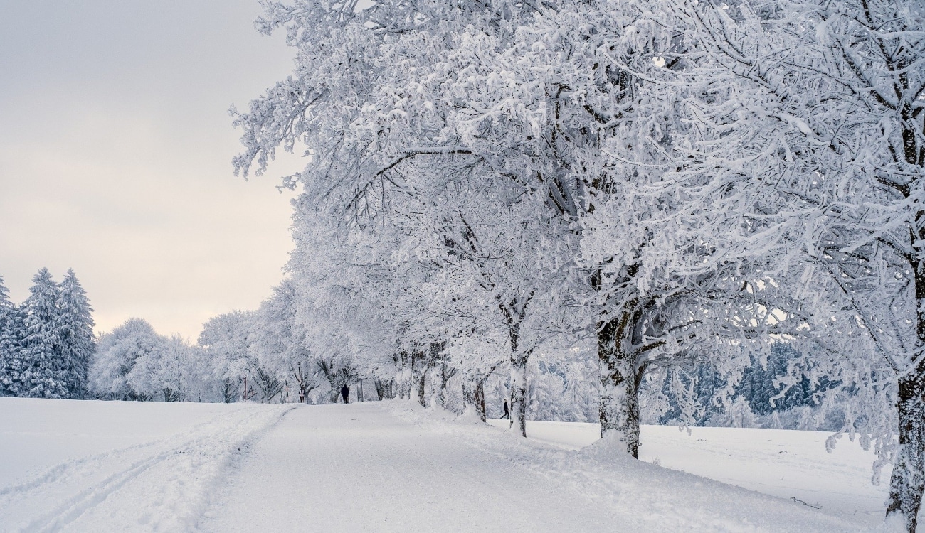 Como a neve se forma nas nuvens? – Zona Curiosa
