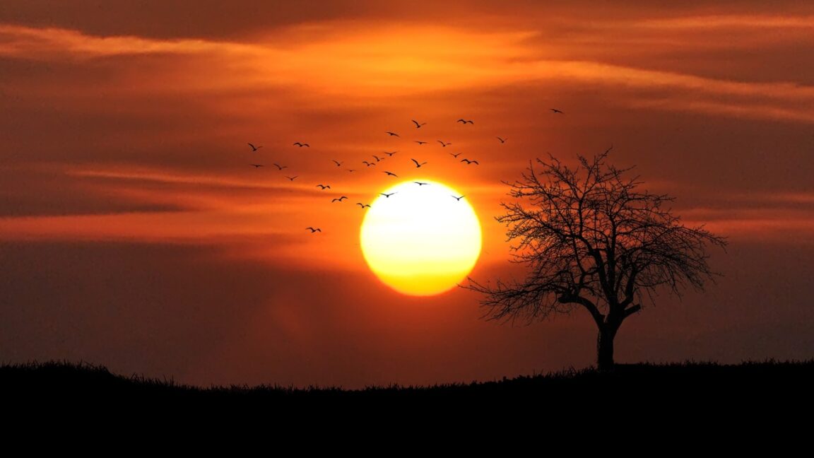 5 curiosidades sobre o Sol – Zona Curiosa