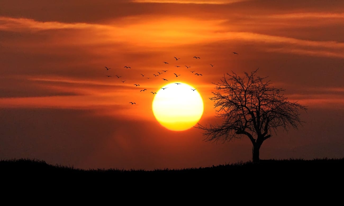 Qual a temperatura do sol? – Zona Curiosa